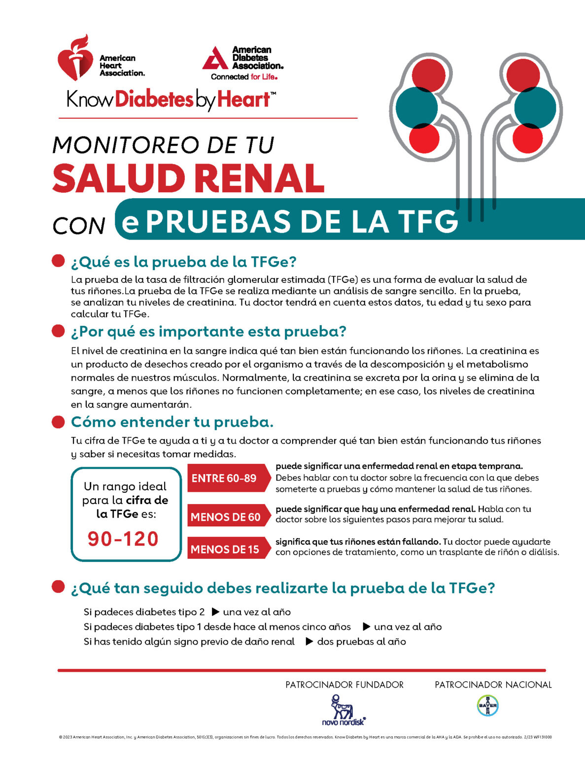 Monitoring Your Kidney Health with eGFR Tests in Spanish - Know ... Monitoring Your Kidney Health with eGFR Tests in Spanish - Know ...